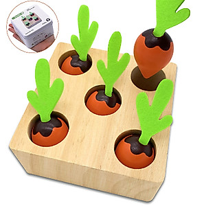 Doyolta Montessori Toys for Toddlers 4 Years Old, Shape Sorting Matching Puzzle Toy with Carrots Travel Toys in Tin Box for 4 Year Old Gifts for Boys Girls