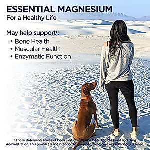 KAL Magnesium Glycinate Tablets, Fully Chelated, High Absorption Formula with Magnesium Bisglycinate Chelate for Nerve, Muscle & Bone Health Support, Vegan, Gluten Free, Value Size, 240 Tablets