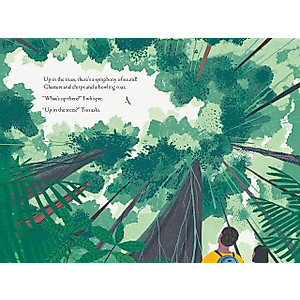 Over and Under the Rainforest