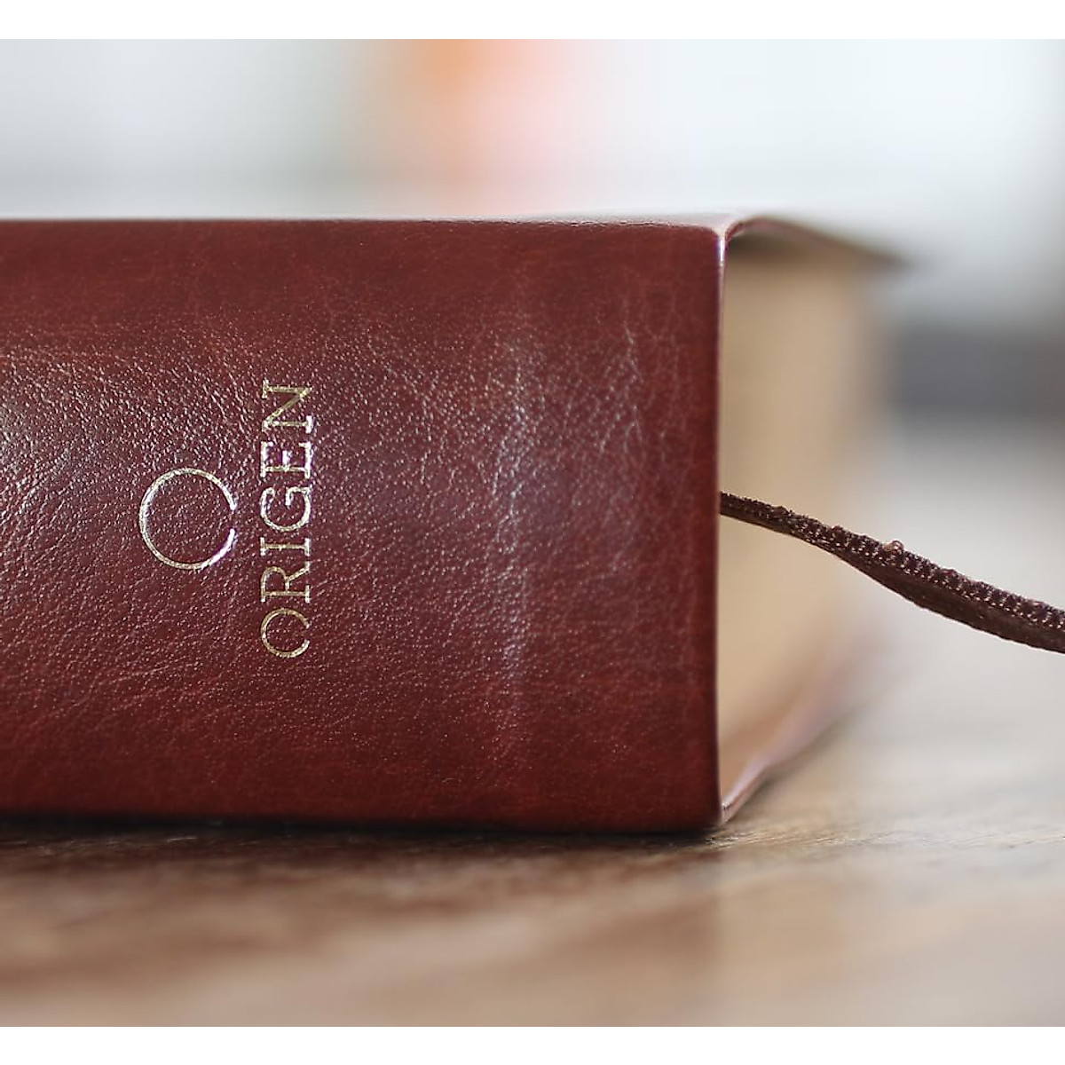 Biblia Bilingüe Reina Valera 1960/ESV Tamaño grande piel marrón / Bilingual Bibl e RVR60/English Standard Large Size Large Print Leather