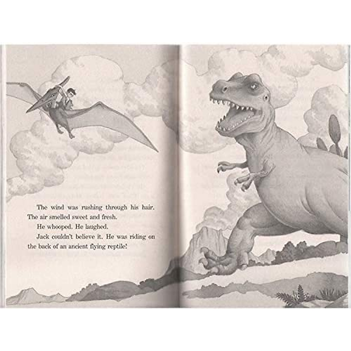 A Library of The Original Collection of Magic Tree House 1-28 Complete Books Set