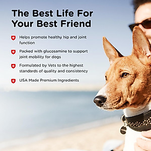 Nutri-Vet Hip & Joint Chewable Dog Supplements - Formulated with Glucosamine & Chondroitin for Dogs - 180 Count