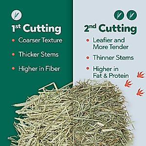 Andy Organic Timothy Hay Andy-Pak Feeder Box, 4 Pack 1.5 Lb Boxes, 1st Cutting Rabbit Food, Premium Hamster, Chinchilla, Gerbil, & Guinea Pig Food, Small Animal Treats, 6 lbs