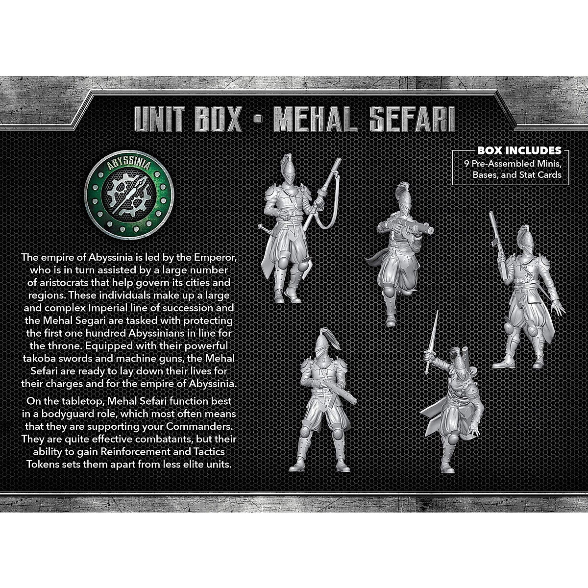 The Other Side Abyssinia Mehal Sefari