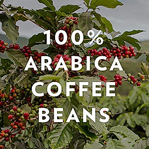 Community Coffee Toasted Hazelnut Flavored 12 Count Coffee Pods, Medium Roast, Compatible with Keurig 2.0 K-cup Brewers, 12 Count (Pack of 1)