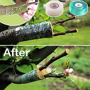 MIDOUWEST 4 Pcs Parafin Grafting Tape for Fruit Trees,Garden Plant Nursery Tape Stretchable Self Adhesive Membrane Clear Floristry Film,Plant Repair Budding Tape