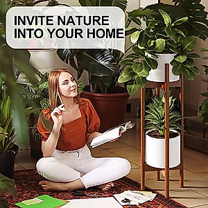 MUDEELA 2 Pack Indoor Plant Stands, 2 Tier Tall Plant Stand 30 inches, Mid Century Bamboo Plant Stand, Adjustable Width 8 - 12 inches, Fits Pot Size of 8 9 10 11 12 inches, Pot & Plant Not Included, Brown