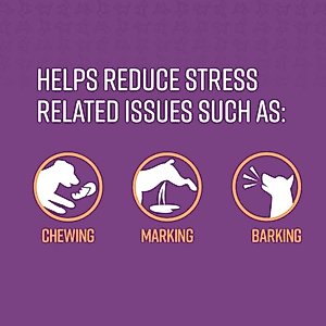 Sentry Behavior Portable Calming Diffuser for Dogs, Reduces Stress and Bad Behavior with Calming Pheromones, Easy-to-use Portable Design, 30 Day Release