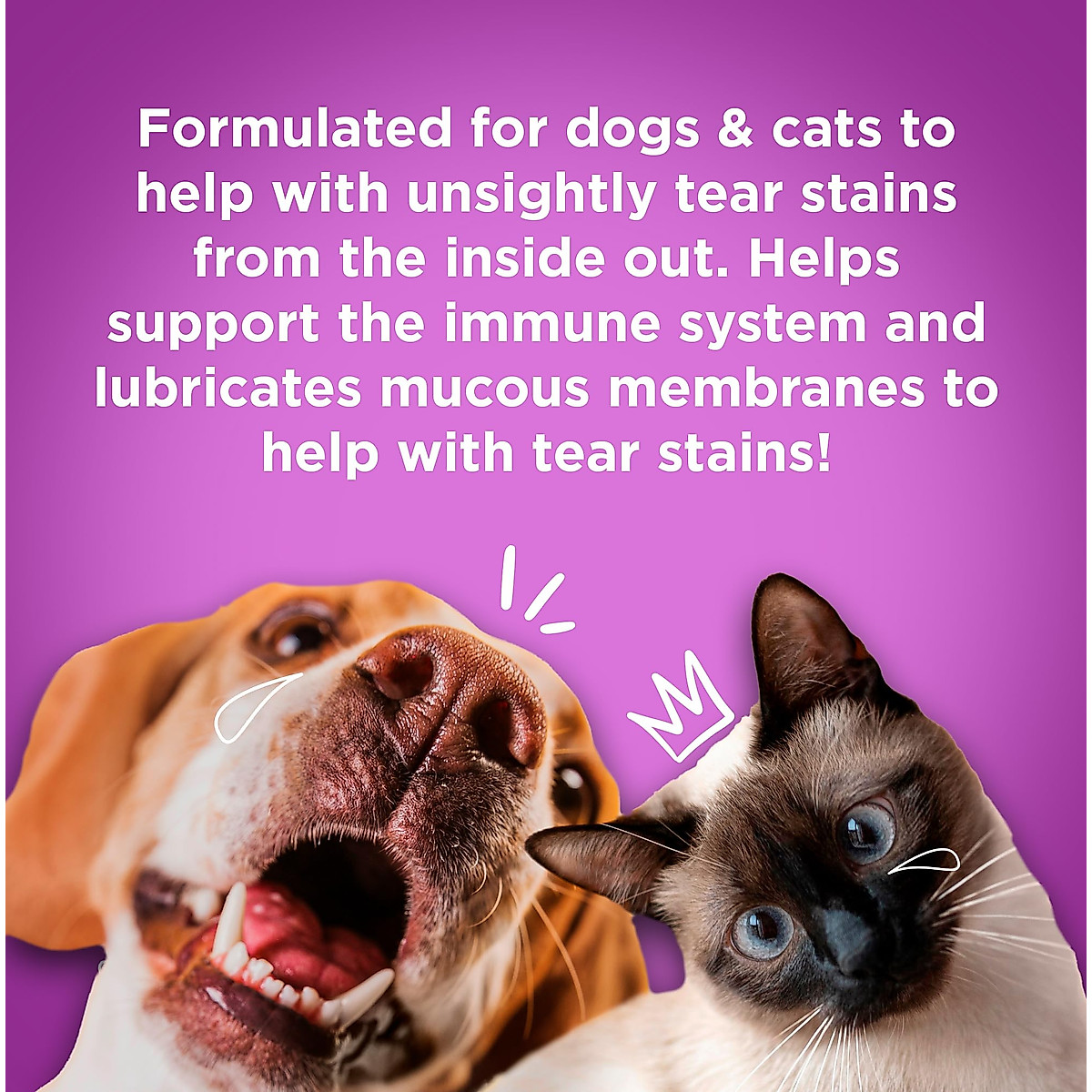 First Impressions Tearminator Soft Chews – Natural Dog Tear Stain Remover for Dogs, Eye Supplements for Dogs and Cats - Yummy Vision Bites for Dogs - 60 ct