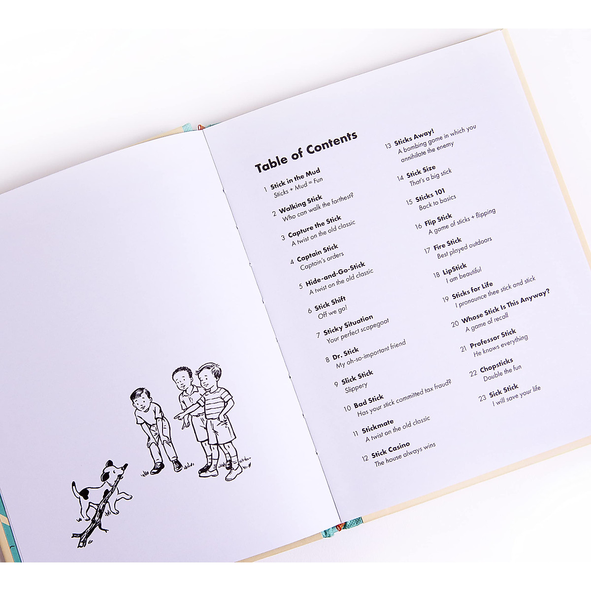 100 Games to Play with a Stick [A Hilarious Parody Book & Gag Gift]