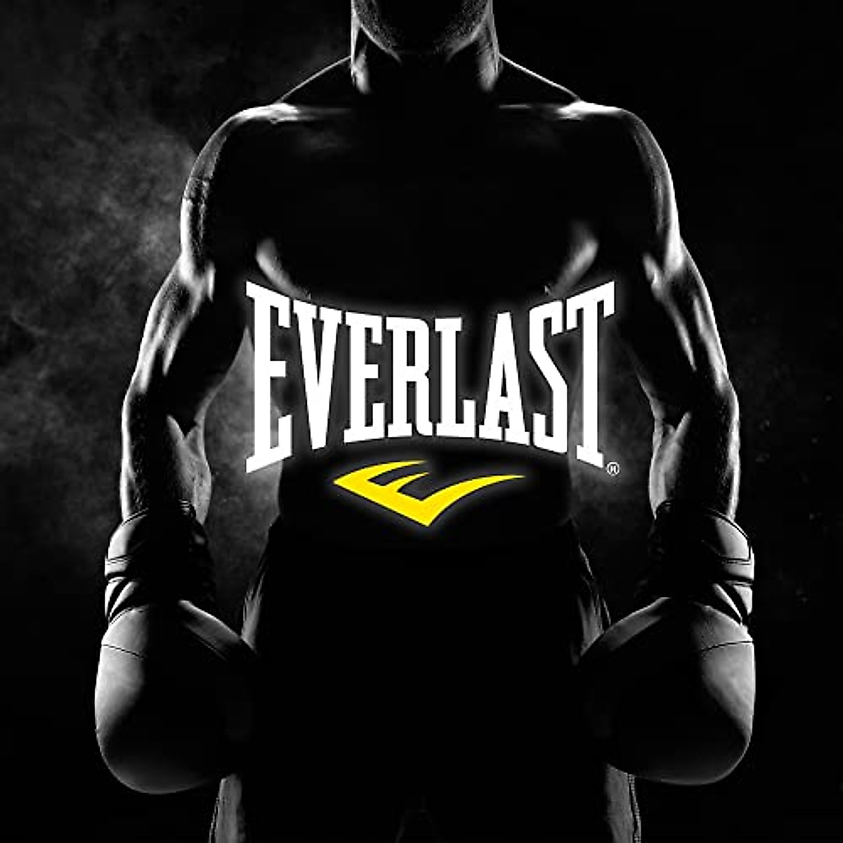 Everlast Performance Boxer Briefs for Men Pack of 6 - Breathable Tagless Mens Boxer Briefs, Moisture Wicking Mens Underwear (Large, Black)