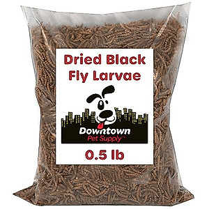 Downtown Pet Supply 1/2 LB Black Soldier Fly Larvae for Wild Birds, Poultry, Reptiles, and Small Mammals Rich in Vitamin B12, B5, Protein, Fiber, Omega 3 Fatty Acids - Great as Mealworms for Chicken