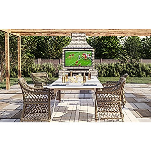 Furrion FDUP65CBS 65" Partial Sun Series Outdoor Weatherproof 4K UHD TV with an Additional 1 Year Coverage by Epic Protect (2021)