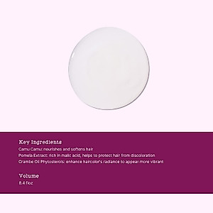 Christophe Robin Color Shield Shampoo With Camu Camu Berries for Color-Treated Hair - Nourishing, Anti-fade 8.4 fl. oz