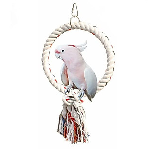 Bird Toys Metal Cotton Rope Swing Bird Toys Circle Ring Parrot Perch Swings Toys Balanced Ring Shape Parrot Cage Toys Bird Hanging Swing Ladder Chewing Toys(Color Randomly) (Large)