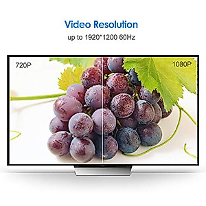 Rankie DisplayPort (DP) to DVI Cable, Gold Plated, 10 Feet