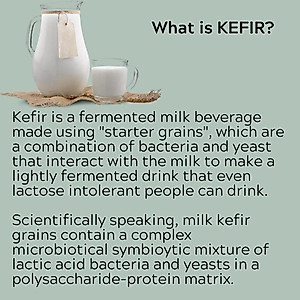 Kefir, Kefir Grains, Scoby, Milk Kefir Grains, Live Starter, Cultures, Bulgaros de Leche, Bulgarian Milk Kefir Grains, Kefir Strainer, Works w/Whole Milk, Coconut Milk, Almond Milk, Oat Milk