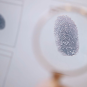 Hidden Games Crime Scene - The New Haven case - USA - Realistic Crime Scene Game, exciting Detective Game, Murder Mystery Game