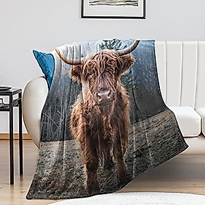 Cow Blanket Cool Highland Horned Baby Cow Cattle Enjoying The Sunrise Flannel Blanket,Ultra Soft Sofa Bed Blanket, Lightweight Travel Throw Blankets Novelty Gift Blanket Unisex,60"X50"