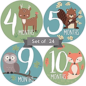 Baby Monthly Stickers | Woodland Creatures Baby Milestone Stickers | Newborn Boy or Girl Animal Stickers | Month Stickers for Baby Boy | Gender Neutral | Unisex Monthly Milestone Stickers (Set of 24)