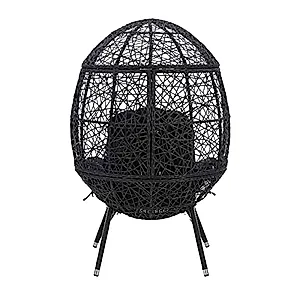 Linon Cloyd Metal Indoor Outdoor Round Chair in Black