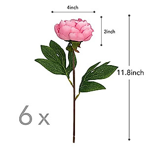 Softflame Artificial/Fake/Faux Flowers - Peony Hot Pink 6PCS for Wedding, Home, Party, Restaurant (850923)