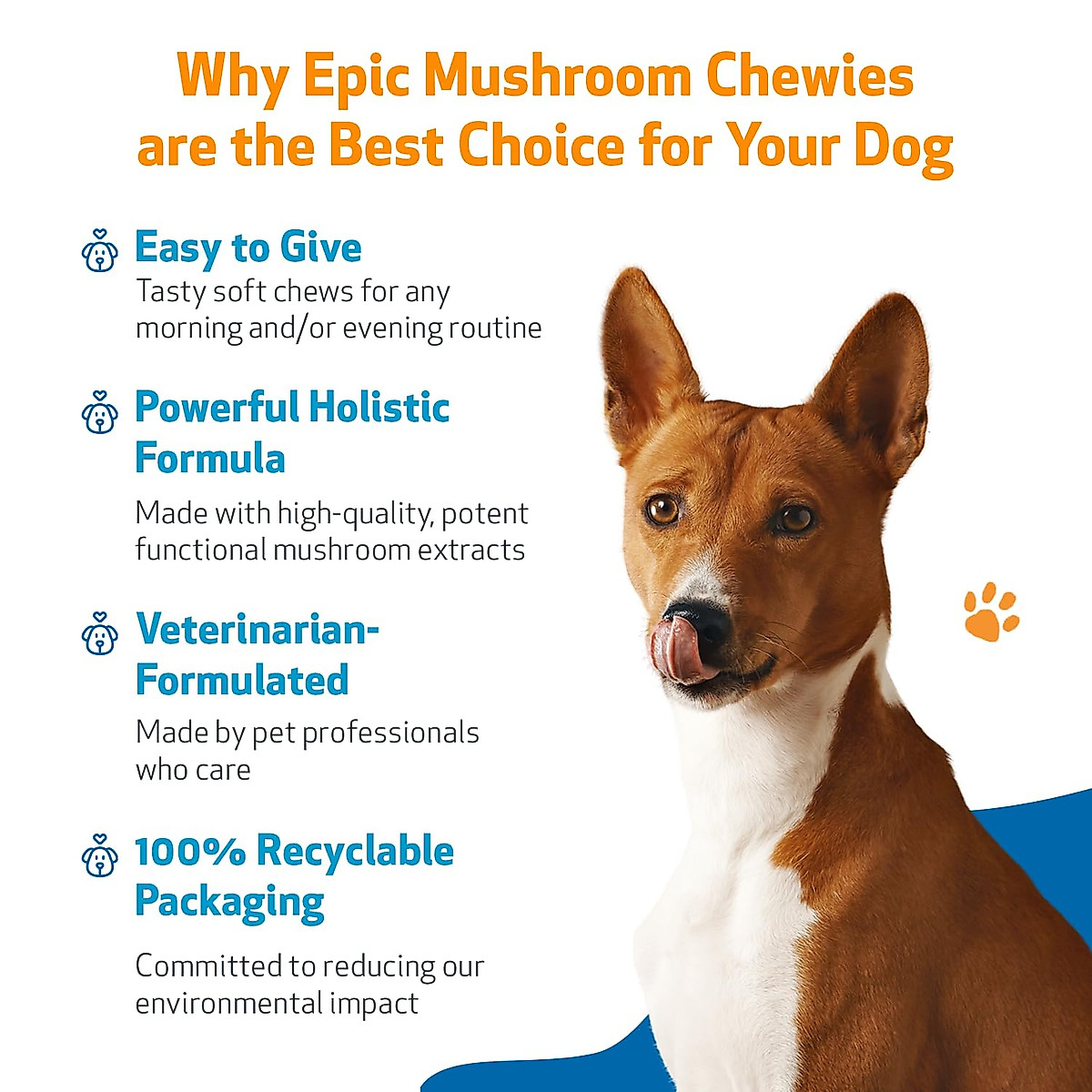Pet Wellbeing Epic Mushroom Chewies for Dogs - Vet-Formulated - Immune Support, Cognitive Health, Adaptogenic Stress Support with Reishi, Chaga, Lion's Mane Medicinal Mushrooms - 90 Soft Chews
