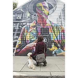 Travelon Anti-Theft Courier Tour Bag, Stone Gray, 11.5 x 11 x 3