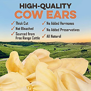 Premium Cow Ears For Dogs, Thick Cut & All-Natural Whole Ears, 100% Grass Fed Beef, No Additives Or Hormones, Safe Rawhide Alternative, Great Dog Treat Alternative To Pig Ears, Bully Sticks, Dog Bones