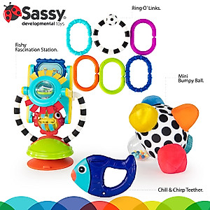 Sassy Discover The Senses Developmental Gift Set for Newborns and Up | Includes Bumpy Ball, High Chair Toy, Water-Filled Teether, 6 Piece Ring O’ Links