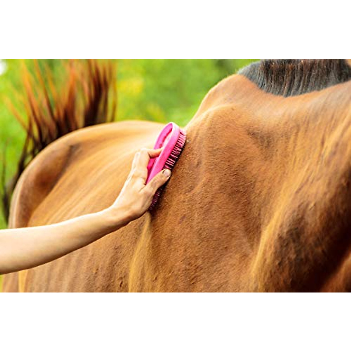 Intrepid International Magic Brush Red