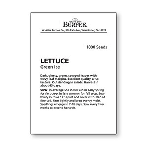 Burpee Green Ice Lettuce Seeds 1000 seeds