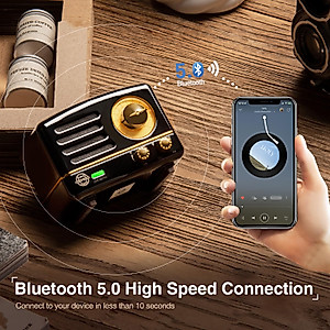 Muzen Portable Bluetooth Speaker, OTR Metal Retro Small Wireless Speaker, FM Radio with Antenna AUX, 10h+ Long Playtime, High Fidelity Stereo Audio with Suitcase, Room Office Decor, Festival Gift