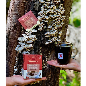 Teeccino Mushroom Herbal Tea - Turkey Tail Astragalus Toasted Maple - Caffeine Free, Prebiotic, 3x More Herbs - 25 Tea Bags