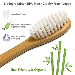 Organic, BPA-Free Bamboo Toothbrush - Biodegradable, Environment-Friendly, Natural, Compostable, Vegan - Clean Teeth, Clean Conscience, Good Oral and Heart Health (8-Pack, White - Hard Bristle)