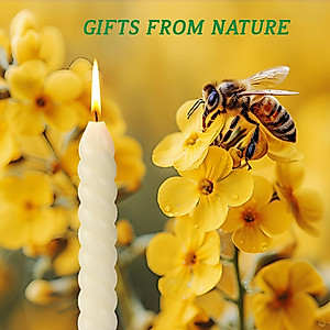 White Beeswax Taper Candles, 5 Inch Spiral Tapered Candles 10 Pack, Natural Bees Wax Candle Sticks - Smokeless Dripless and Unscented for Home Decoration, Wedding, Party