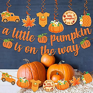 A little Pumpkin Is On The Way Banner Little Pumpkin Baby Shower Decorations Little Pumpkin Banner Orange Pumpkin Boy Girl Baby Shower Decorations Baby Shower Banner Pumpkin Decorations for Fall Baby