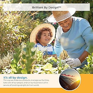 Suncast Dual Trash Hideaway Cabinet for Garbage and Recycle Bags, Discrete Outdoor Trash Cabinet with Concealed Trash Bag Holders, Holds Two 33-Gal. Bags