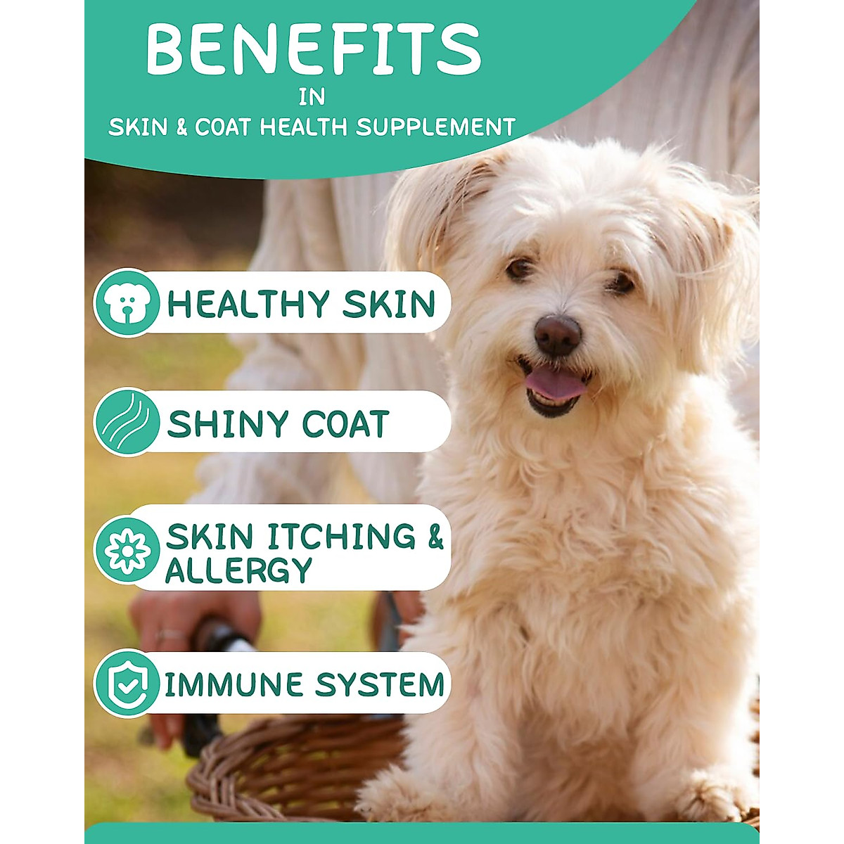 Skin and Coat Chews for Dogs - Omega 3 Supplement for Dogs with EPA & DHA Fatty Acids- Fish Oil Chews for Dogs with Salmon Oil & Vitamins - Dog Itchy, Dry & Shedding Skin Relief- Chicken, 120 Chews