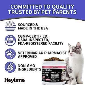 HEYISME Lysine Supplement for Cats, Cat Treats for Sneezing and Runny Nose, Cat Cold, Cat Immune Support, Eye Function, and Respiratory Health, L-Lysine cat Vitamins for Cats (120 Pills, Salmon)