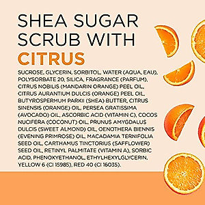 Dr Teal's Shea Sugar Body Scrub, Citrus with Essential Oils & Vitamin C, 19 oz (Pack of 3) (Packaging May Vary)