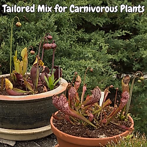 Carnivorous Plant Potting Soil Mix (1 Quart), Ideal Additive for Venus Fly Traps, Sundews, and Pitcher Plants