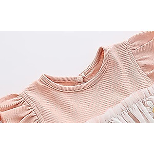 Toddler Baby Girls Dresses Infant Flower Embroidery Tulle Dresses Long Sleeve Newbron Baby Girls Clothes Outfit, 12-18M