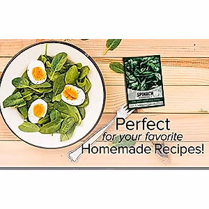 Bloomsdale Spinach Seeds for Planting is A Great Heirloom, Non-GMO Vegetable Variety- Great for Indoor, Outdoor and Hydroponics Gardening by Gardeners Basics