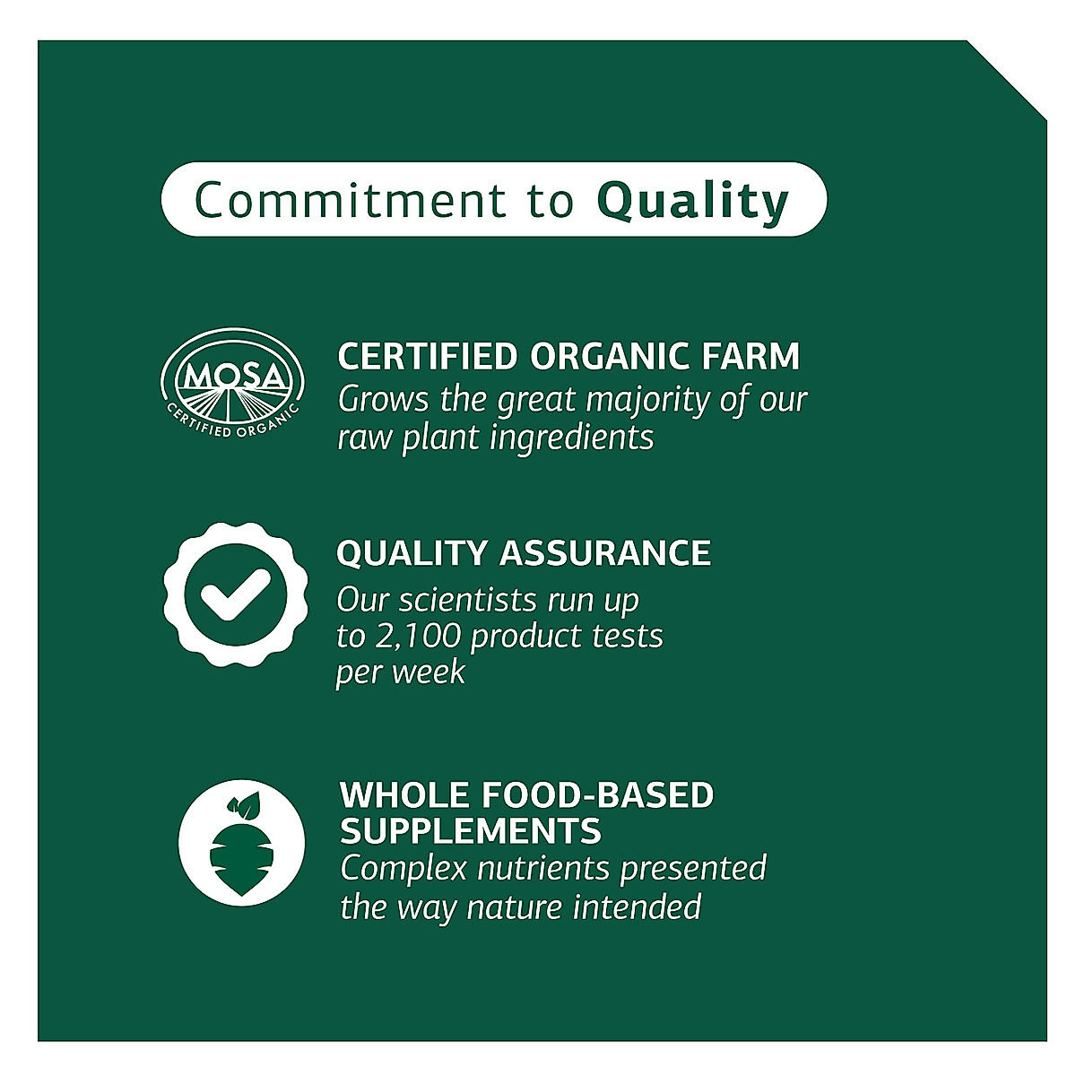 Standard Process Canine Whole Body Support - Multisystem Support Supplement for Canines - Nutritional Powder Supplement for Daily Health Maintenance - Multisystem Supplement Formula - 25 g