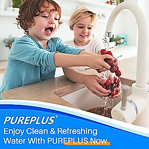 PUREPLUS 5 Micron 20" x 4.5" Whole House Coconut Shell Activated Carbon Water Filter Replacement Cartridge, Compatible with EPM-20, CB-20, 155783-43, FC25B, 1 Pack