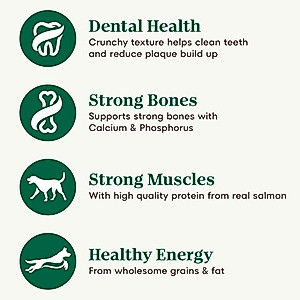 Nutro Natural Choice Small Bites Adult Dry Dog Food, Salmon & Brown Rice Recipe, 28 lb. Bag