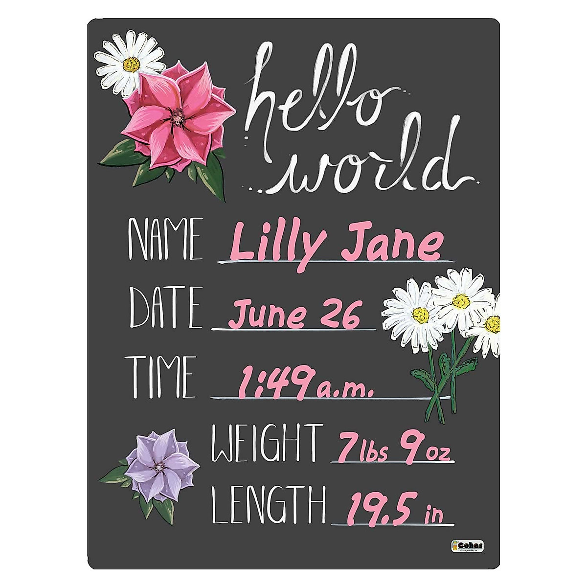 Cohas Hello World Newborn Baby Announcement Chalkboard Sign with Mixed Flower Theme, 9 by 12 Inches, Pink Marker