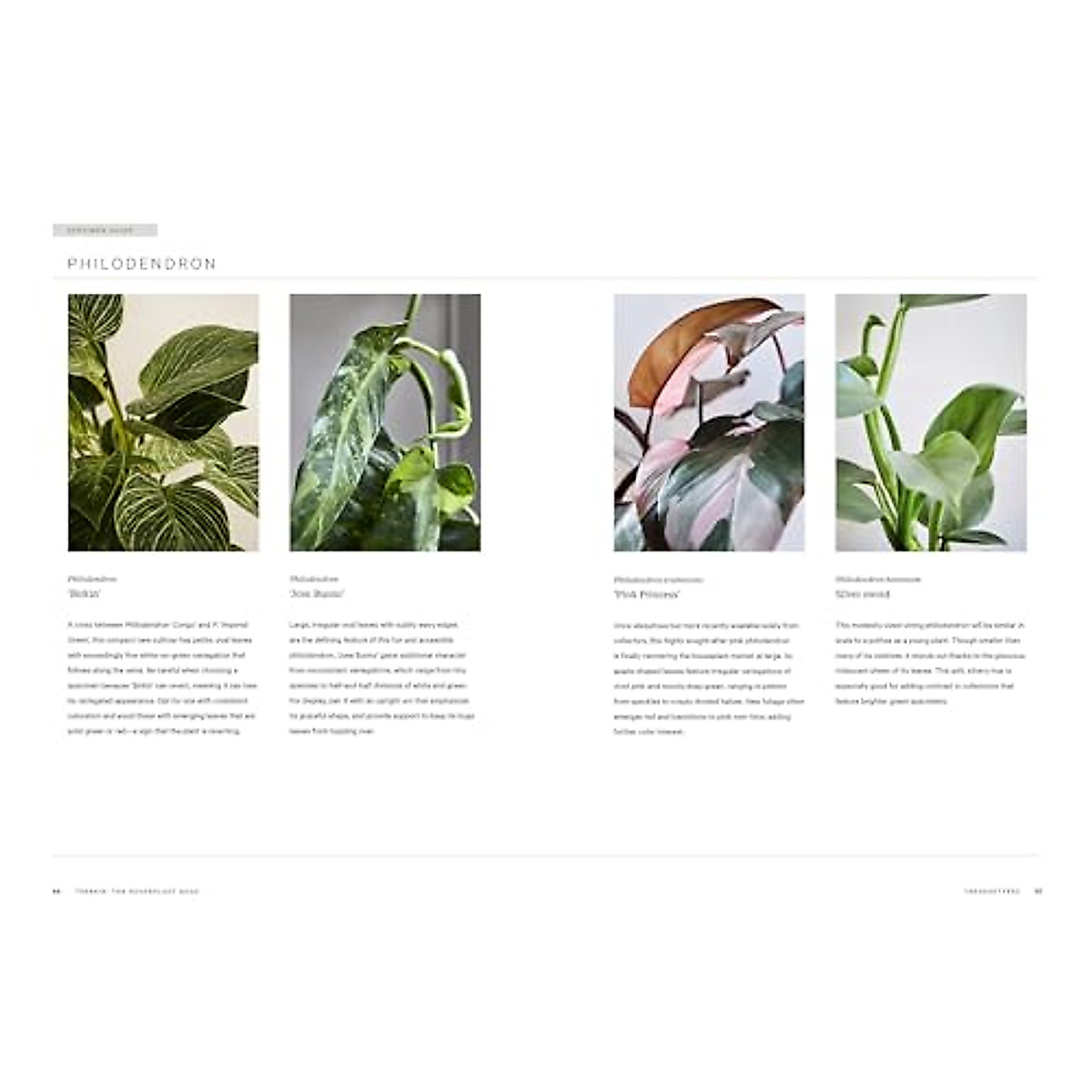 Terrain: The Houseplant Book: An Insider’s Guide to Cultivating and Collecting the Most Sought-After Specimens