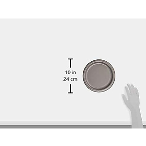 Creative Converting 339639 DINNER PLATE, 9 in, 24 ct, Gray